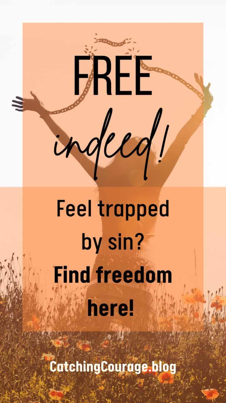 Freedom From Sin - What it Means and How to Get it – Catching Courage